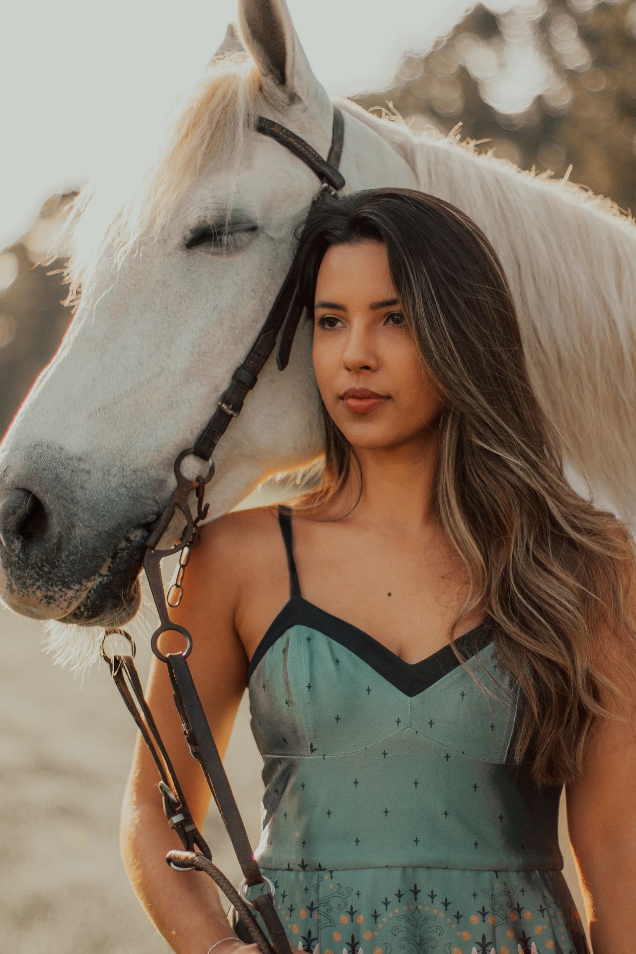 Cómo acercarse a un caballo | Asistir.lat